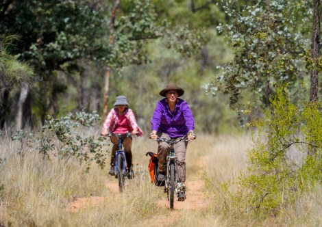 Bimblebox Art Project | art science nature