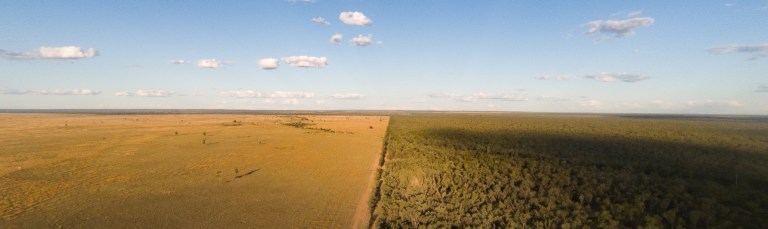 Bimblebox Art Project | art science nature